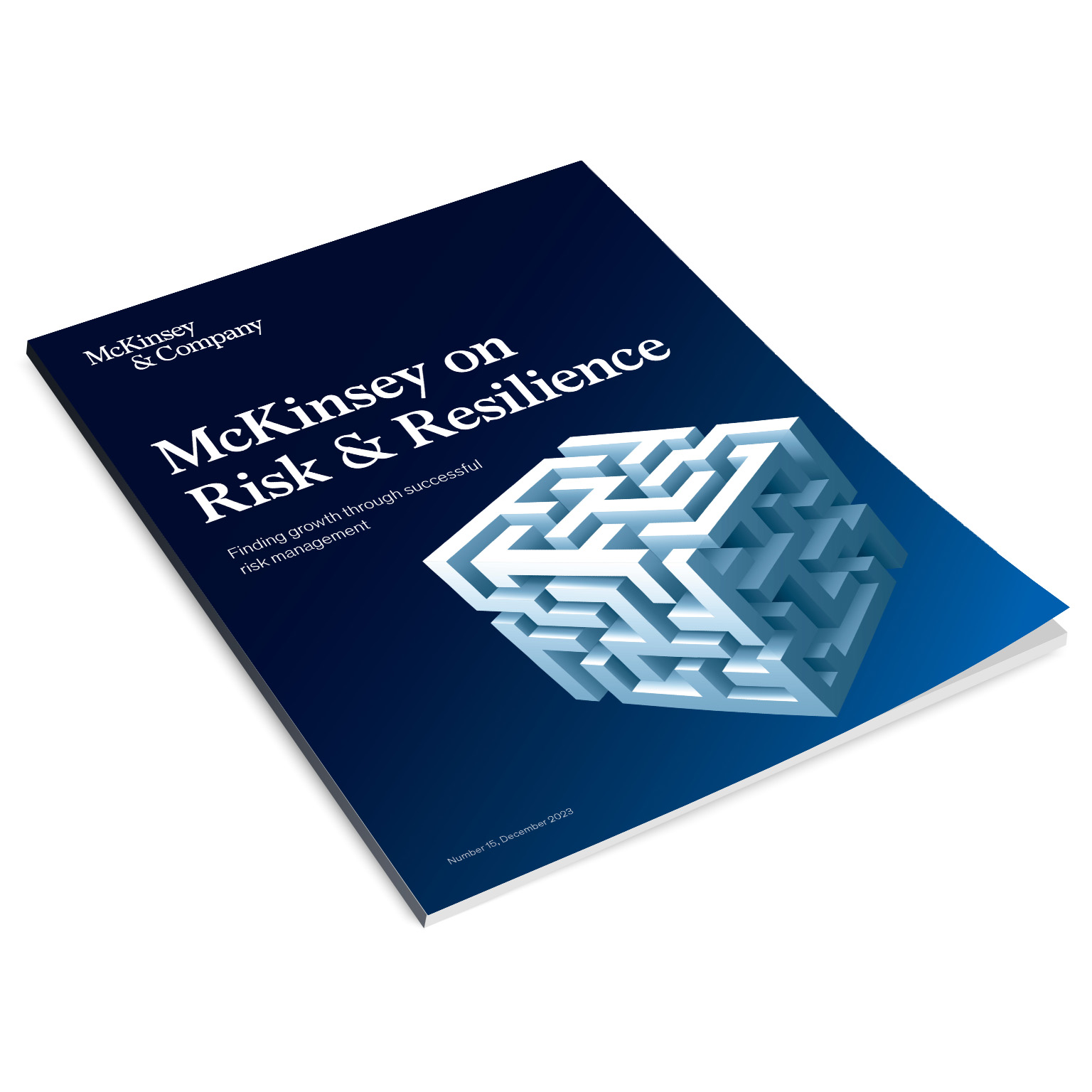 McKinsey on Risk & Resilience | Number 15, December 2023 | McKinsey.org ...